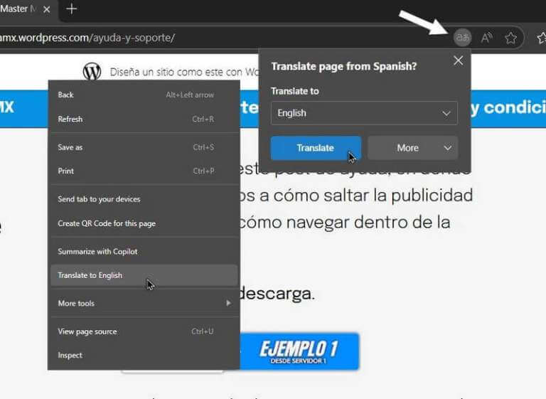 Web Page Translation In Browsers | Daves Computer Tips